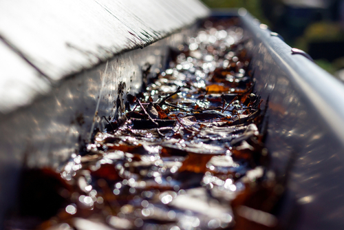 5 Common Gutter Problems in Pensacola and How to Fix Them - Gutter Master